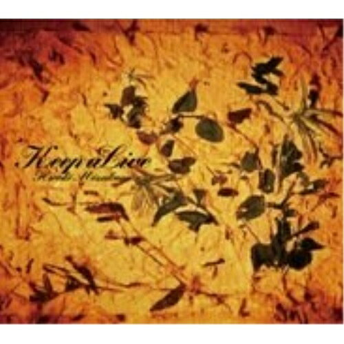 Keep aLive (解説付)Hiroki Mizukamiヒロキミズカミ ひろきみずかみ　発売日 : 2007年3月07日　種別 : CD　JAN : 4935228065080　商品番号 : GTXC-3【商品紹介】88個の銀盤が奏で...