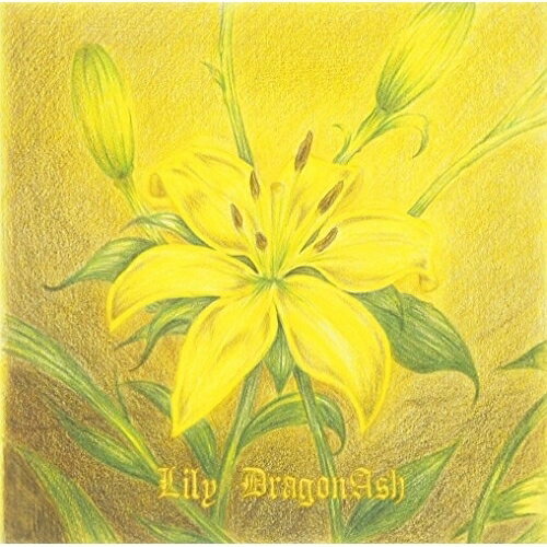 Lily (通常盤)Dragon Ashドラゴンアッシュ どらごんあっしゅ　発売日 : 2013年11月27日　種別 : CD　JAN : 4988002660957　商品番号 : VICL-36856【商品紹介】Dragon Ashのシン...