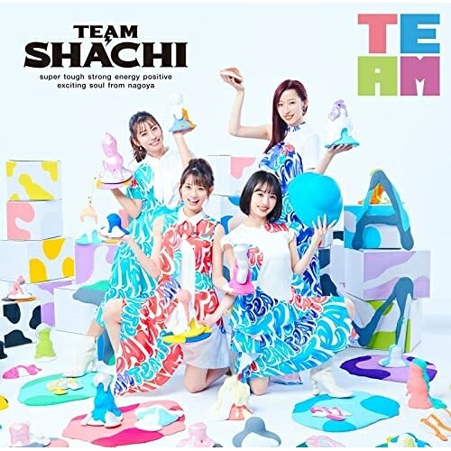 TEAM (通常盤/チームシャチ盤)TEAM SHACHIシャチ しゃち　発売日 : 2022年2月16日　種別 : CD　JAN : 4943674346486　商品番号 : WPCL-13358【商品紹介】チームしゃちほこからの改名後、...