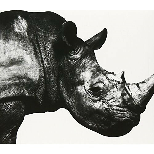 Mr.Children 1992-1995Mr.Childrenミスターチルドレン ミスチル みすたーちるどれん みすちる　発売日 : 2001年7月11日　種別 : CD　JAN : 4988061881805　商品番号 : TFCC-8...