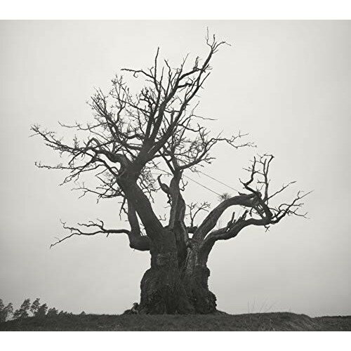 SEKAI NO OWARI 2010-2019 (通常盤)SEKAI NO OWARIセカイノオワリ せかいのおわり　発売日 : 2021年2月10日　種別 : CD　JAN : 4988061867137　商品番号 : TFCC-867...