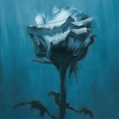 Deep inside + Unknown bestwaterweedウォーターウィード うぉーたーうぃーど　発売日 : 2021年5月12日　種別 : CD　JAN : 4945817651242　商品番号 : CTCM-65124【商品...