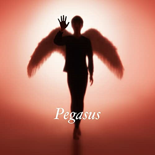Pegasus (通常盤)布袋寅泰ホテイトモヤス ほていともやす　発売日 : 2021年6月30日　種別 : CD　JAN : 4988031431115　商品番号 : TYCT-30123【商品紹介】2021年、記念すべきアーティスト活動...