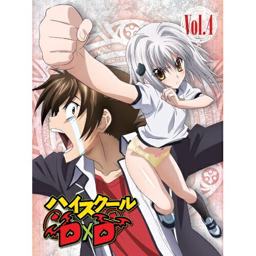 ハイスクールD×D Vol.4 (DVD+CD)TVアニメ石踏一榮、みやま零、梶裕貴、日笠陽子、浅倉杏美、ごとうじゅんじ　発売日 : 2012年6月27日　種別 : DVD　JAN : 4935228115662　商品番号 : ZMBZ-7674