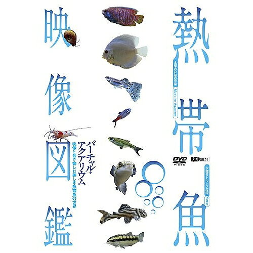 【 お取り寄せにお時間をいただく商品となります 】　・入荷まで長期お時間をいただく場合がございます。　・メーカーの在庫状況によってはお取り寄せが出来ない場合がございます。　・発送の都合上すべて揃い次第となりますので単品でのご注文をオススメい...