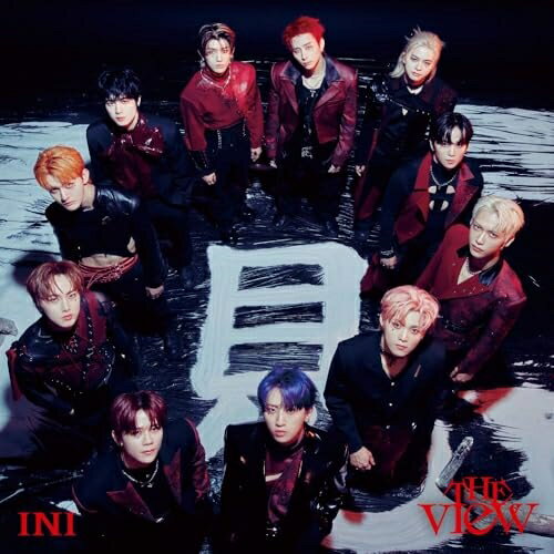 THE VIEW (CD+DVD) (初回限定盤/NIGHT VIEW ver.)INIアイエヌアイ あいえぬあい　発売日 : 2024年10月30日　種別 : CD　JAN : 4571487595984　商品番号 : YRCS-9025...