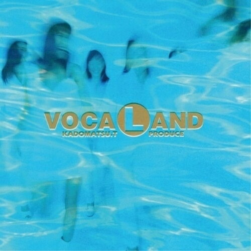 VOCALAND (初回生産限定盤)VOCALANDボーカランド ぼーからんど　発売日 : 2024年11月03日　種別 : LP(30cm)　JAN : 4542114776540　商品番号 : AQJD-77654【商品紹介】角松敏生プ...