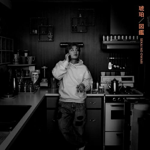 琥珀/図鑑 (通常盤A)SEKAI NO OWARIセカイノオワリ せかいのおわり　発売日 : 2025年9月03日　種別 : CD　JAN : 4988031791202　商品番号 : TYCT-30162【商品紹介】SEKAI NO O...