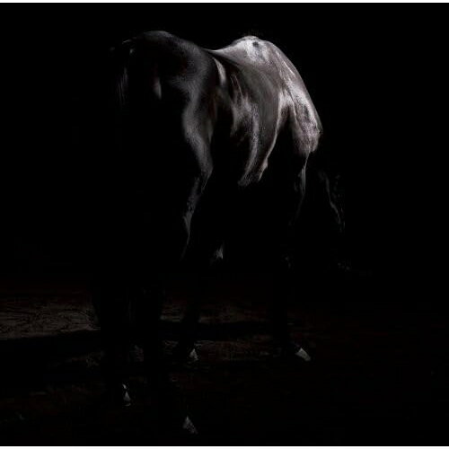 嘆きのエンドレス (CD+DVD(LIVE映像収録)) (通常盤)jealkbジュアルケービー じゅあるけーびー　発売日 : 2008年10月22日　種別 : CD　JAN : 4580204752265　商品番号 : YRCN-90038...
