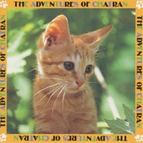 子猫物語坂本龍一サカモトリュウイチ さかもとりゅういち　発売日 : 1991年3月21日　種別 : CD　JAN : 4988034201333　商品番号 : MDC7-1017【収録内容】CD:11.オープニングテーマ〜子猫物語2.朝もや...