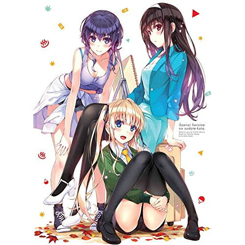 冴えない彼女の育てかた 1 (DVD+CD) (完全生産限定版)TVアニメ丸戸史明、松岡禎丞、大西沙織、茅野愛衣、高瀬智章、百石元　発売日 : 2015年3月04日　種別 : DVD　JAN : 4534530082305　商品番号 : A...