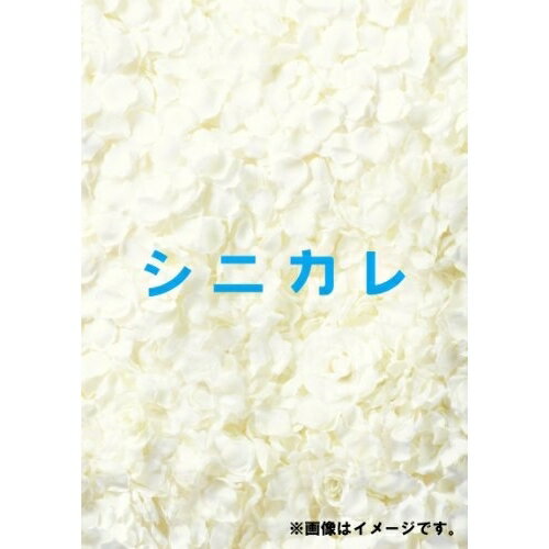 シニカレ完全版 DVD-BOX (本編ディスク5枚+特典ディスク1枚)国内オリジナルV藤ヶ谷太輔、桐谷美玲、マイコ　発売日 : 2013年5月31日　種別 : DVD　JAN : 4988064623419　商品番号 : AVBF-62341