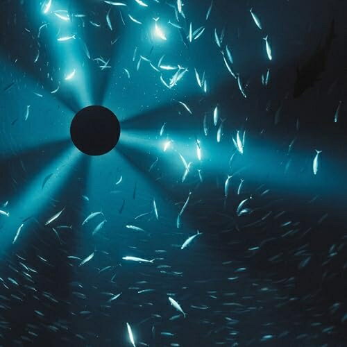 【 お取り寄せにお時間をいただく商品となります 】　・入荷まで長期お時間をいただく場合がございます。　・メーカーの在庫状況によってはお取り寄せが出来ない場合がございます。　・発送の都合上すべて揃い次第となりますので単品でのご注文をオススメい...