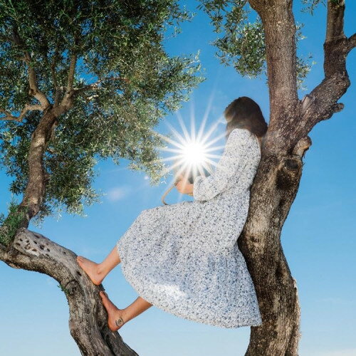 Little Miss Sunshine (限定生産盤)Eaves Wilderワイルダー イーブス わいるだー いーぶす　発売日 : 2026年4月22日　種別 : CD　JAN : 4526180752592　商品番号 : SC-504JCD