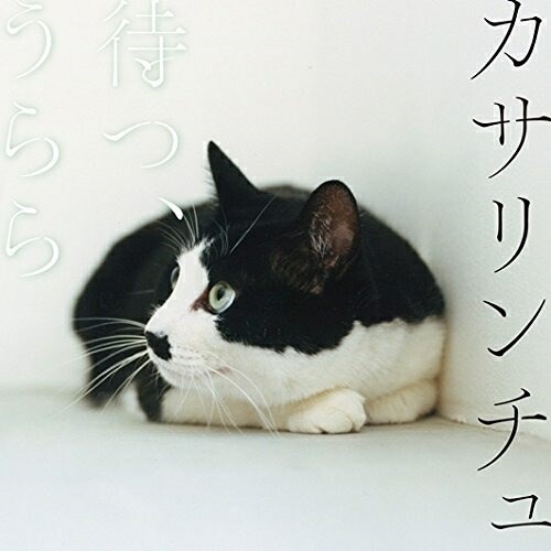 待つ、うららカサリンチュかさりんちゅ　発売日 : 2017年12月20日　種別 : CD　JAN : 4547366333466　商品番号 : ESCL-4951【商品紹介】奄美大島在住の2人組ユニット、カサリンチュが約1年ぶりのリリースと...