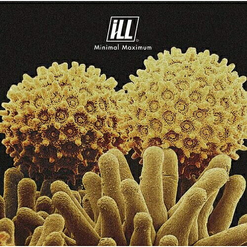 Minimal MaximumiLLイル いる　発売日 : 2010年10月13日　種別 : CD　JAN : 4562292971933　商品番号 : KSCL-1636【商品紹介】2010年の6月に豪華アーティストを迎えたコラボレーショ...