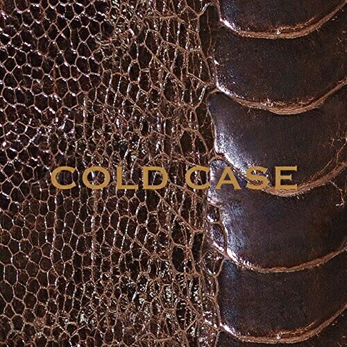 COLD CASE (CD+DVD) (初回生産限定LIMITED EDITION盤)vistlipビストリップ びすとりっぷ　発売日 : 2015年11月11日　種別 : CD　JAN : 4535506091598　商品番号 : MJS...