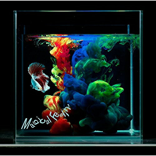 Magical Feelin' (歌詞付) (通常盤)夜の本気ダンスヨルノホンキダンス よるのほんきだんす　発売日 : 2018年8月08日　種別 : CD　JAN : 4988002768868　商品番号 : VICL-37421【商品紹...