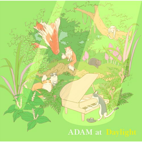 Daylight (歌詞付)ADAM atアダムアット あだむあっと　発売日 : 2021年6月23日　種別 : CD　JAN : 4988002908455　商品番号 : VICL-65515【商品紹介】ピアノ・インスト・シーンのトップラ...