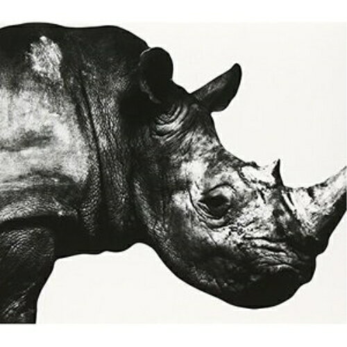 Mr.Children 1992-1995Mr.Childrenミスターチルドレン ミスチル みすたーちるどれん みすちる　発売日 : 2001年7月11日　種別 : CD　JAN : 4988061881805　商品番号 : TFCC-8...
