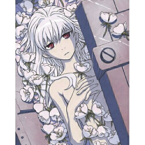 DARKER THAN BLACK -流星の双子- 4(Blu-ray)TVアニメBONES、岡村天斎、木内秀信、花澤香菜、小森高博、石井妥師　発売日 : 2010年3月24日　種別 : BD　JAN : 4534530032737　商品番...