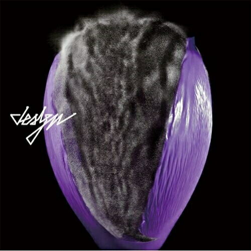 D.E.S.I.G.N.Designデザイン でざいん　発売日 : 2010年10月06日　種別 : CD　JAN : 4525853001777　商品番号 : RDCS-1001【収録内容】CD:11.intro-spelling che...