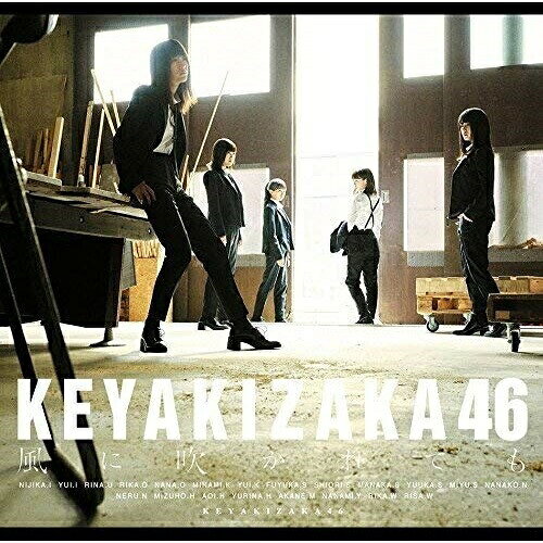 風に吹かれても (CD+DVD) (TYPE-C)欅坂46ケヤキザカフォーティーシックス けやきざかふぉーてぃーしっくす　発売日 : 2017年10月25日　種別 : CD　JAN : 4547366331653　商品番号 : SRCL-9...