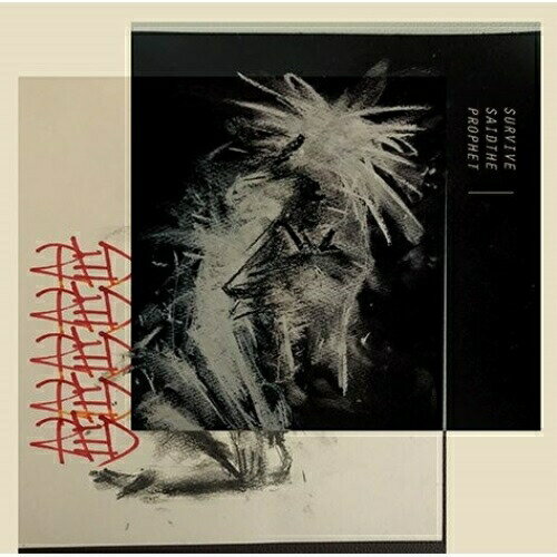 RED (通常盤)Survive Said The Prophetサバイブセッドザプロフェット さばいぶせっどざぷろふぇっと　発売日 : 2018年12月12日　種別 : CD　JAN : 4547366379556　商品番号 : SRCL...
