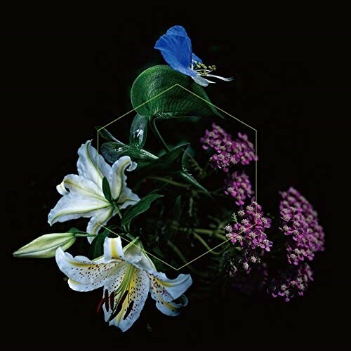 Awake all around (紙ジャケット)菅原一樹スガワラカズキ すがわらかずき　発売日 : 2020年10月28日　種別 : CD　JAN : 4582500632005　商品番号 : ITLB-1128【商品紹介】菅原一樹のこれ...