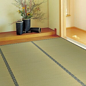 商品紹介撥水加工付きの引目織の上敷。水などをこぼしても未加工品よりも拭き取りが簡単にできるので、小さなお子様がいるご家庭にもおすすめです。引目織は、たて糸が表に出ないので汚れにくく表面も滑らかで、ごみがたまりにくい特徴があります。サイズ35...