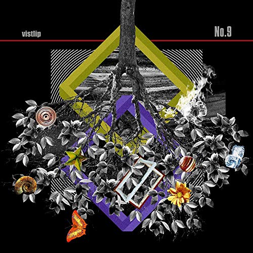 No.9 (CD+DVD) (通常盤/vister)vistlipビストリップ びすとりっぷ　発売日 : 2020年3月18日　種別 : CD　JAN : 4535506012906　商品番号 : MJSA-01290【商品紹介】V系のシー...