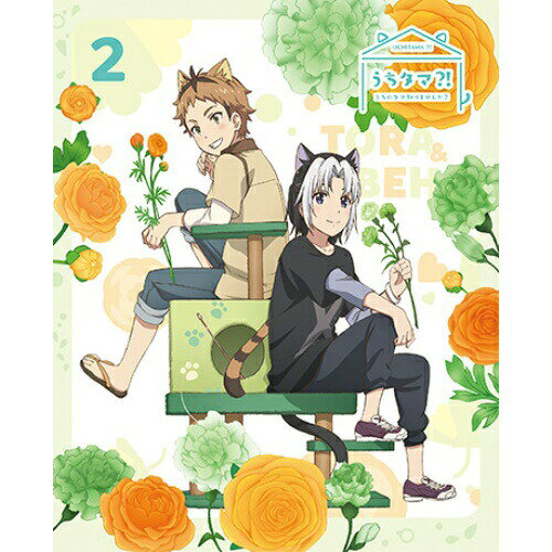 うちタマ?! 〜うちのタマ知りませんか?〜2 (本編ディスク+特典ディスク) (完全生産限定版)TVアニメソニー・クリエイティブプロダクツ、斉藤壮馬、小野賢章、白井悠介、大塚舞、具志堅眞由、Tom-H@ck　発売日 : 2020年5月27日...