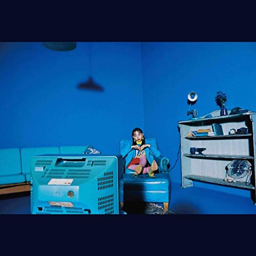 濡れゆく私小説 (CD+DVD) (初回限定盤)indigo la Endインディゴラエンド いんでぃごらえんど　発売日 : 2019年10月09日　種別 : CD　JAN : 4943674300150　商品番号 : WPZL-31658...
