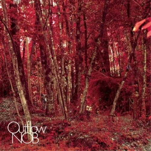 OutflowNOBノブ のぶ　発売日 : 2014年8月06日　種別 : CD　JAN : 4571427140069　商品番号 : XQLR-1006【収録内容】CD:11.Prhythm2.APEX3.FOLK4.Lost And F...