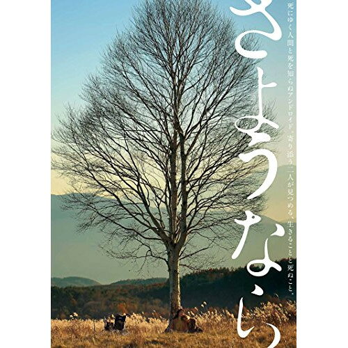 【 お取り寄せにお時間をいただく商品となります 】　・入荷まで長期お時間をいただく場合がございます。　・メーカーの在庫状況によってはお取り寄せが出来ない場合がございます。　・発送の都合上すべて揃い次第となりますので単品でのご注文をオススメい...