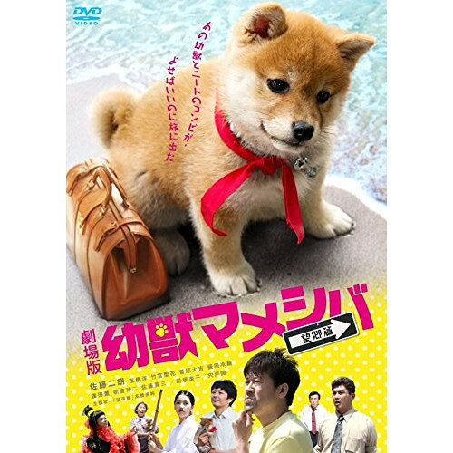 映画版「幼獣マメシバ 望郷篇」邦画佐藤二朗、橋洋、竹富聖花、亀井亨、チチクリギターズ　発売日 : 2015年1月09日　種別 : DVD　JAN : 4935228147335　商品番号 : ZMBJ-9809