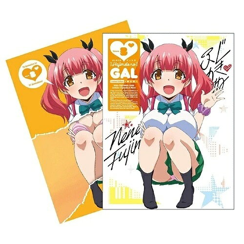 はじめてのギャル 第3巻 (DVD+CD) (限定版)TVアニメ植野メグル、浅沼晋太郎、長久友紀、喜多村英梨、古川博之、やしきん　発売日 : 2017年11月29日　種別 : DVD　JAN : 4988111907707　商品番号 : K...