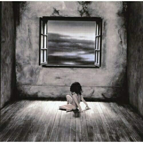 IMAGE (CD+DVD)LUNA SEAルナシー るなしー　発売日 : 2007年12月05日　種別 : CD　JAN : 4988005496614　商品番号 : UPCH-20056【商品紹介】2007年12月24日、東京ドームで一...