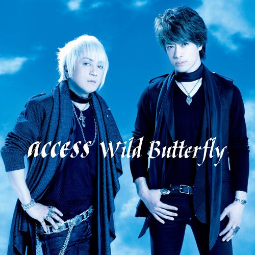 Wild Butterflyaccessアクセス あくせす　発売日 : 2012年4月04日　種別 : CD　JAN : 4582168910644　商品番号 : DWDH-6【商品紹介】2012年11月26日にデビュー20周年を迎えるac...