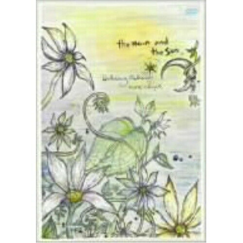 the Moon and the Sun.安藤裕子アンドウユウコネエヤン あんどうゆうこねえやん　発売日 : 2006年4月19日　種別 : DVD　JAN : 4945817920447　商品番号 : CTBR-92044【収録内容】DV...