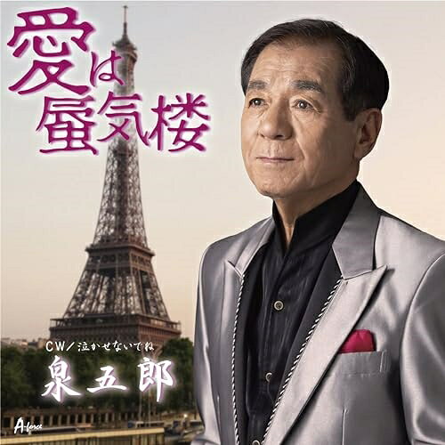 愛は蜃気楼 C/W 泣かせないでね (メロ譜付)泉五郎イズミゴロウ いずみごろう　発売日 : 2024年5月22日　種別 : CD　JAN : 4538322007200　商品番号 : YZWG-15325【商品紹介】泉五郎、5年ぶりの新曲...