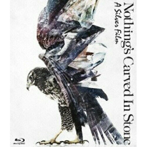 A Silver Film(Blu-ray)Nothing's Carved In Stoneナッシングスカーブドインストーン なっしんぐすかーぶどいんすとーん　発売日 : 2013年1月30日　種別 : BD　JAN : 49880100...