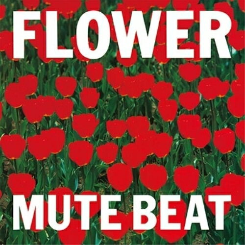 FLOWERMUTE BEATミュートビート みゅーとびーと　発売日 : 2024年11月03日　種別 : LP(30cm)　JAN : 4524135202499　商品番号 : PCJA-172【商品紹介】MUTE BEAT、ファーストア...