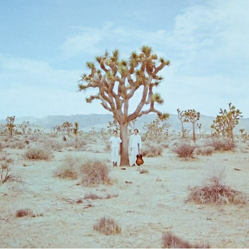 【 お取り寄せにお時間をいただく商品となります 】　・入荷まで長期お時間をいただく場合がございます。　・メーカーの在庫状況によってはお取り寄せが出来ない場合がございます。　・発送の都合上すべて揃い次第となりますので単品でのご注文をオススメい...