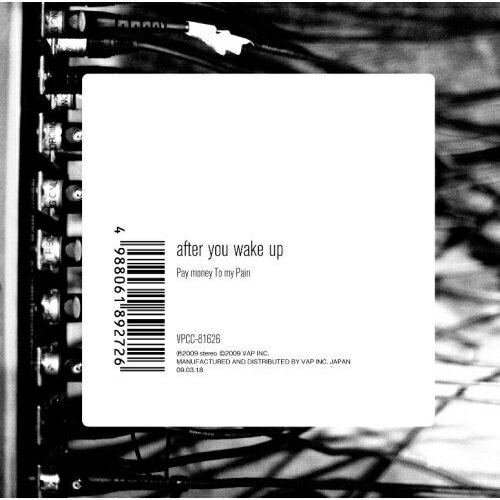 after you wake upPay money To my Painペイマネートゥーマイペイン ぺいまねーとぅーまいぺいん　発売日 : 2009年3月18日　種別 : CD　JAN : 4988021816267　商品番号 : VPC...