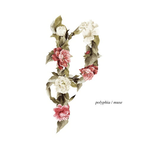 museポリフィアぽりふぃあ　発売日 : 2016年5月25日　種別 : CD　JAN : 4580128892108　商品番号 : XSCP-7【商品紹介】天が二物を与えた、テキサス州出身の美系ギター・インストバンド、ポリフィアのデビュー...