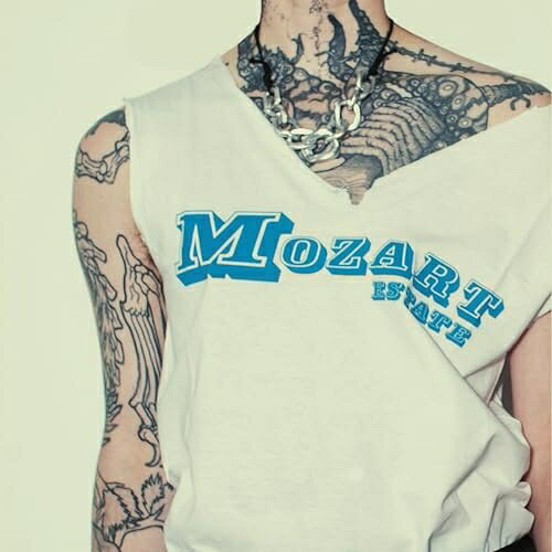 タワー・ブロック・イン・ア・ジャム・ジャー ヴァイナル・エディションモーツァルト・エステートモーツァルトエステート もーつぁるとえすてーと　発売日 : 2025年11月05日　種別 : LP(30cm)　JAN : 452618073731...