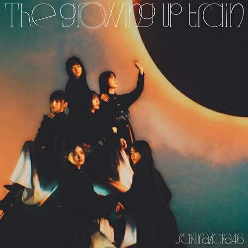 【 発売日以降の確認・発送になります 】　・発売日翌日以降の在庫状況の確認となります。　・最短でも発売日の翌日〜翌々日以降の入荷、発送となります。商品によっては長期お待たせする場合もございます。　・発売日後のメーカー在庫状況によってはお取り...