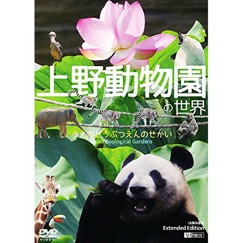 【 お取り寄せにお時間をいただく商品となります 】　・入荷まで長期お時間をいただく場合がございます。　・メーカーの在庫状況によってはお取り寄せが出来ない場合がございます。　・発送の都合上すべて揃い次第となりますので単品でのご注文をオススメい...