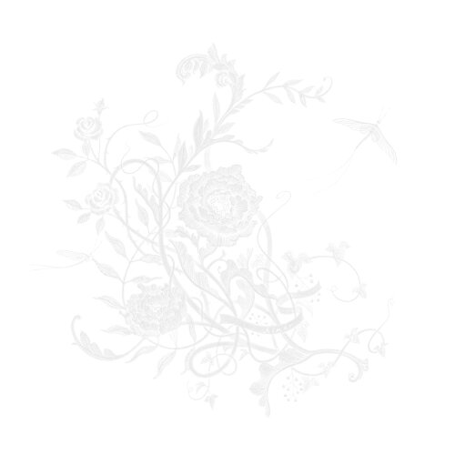白色蜉蝣 (通常盤)Aimerエメ えめ　発売日 : 2023年12月06日　種別 : CD　JAN : 4547366647396　商品番号 : VVCL-2397【商品紹介】『第73回 NHK紅白歌合戦』出演や(第64回日本レコード大賞...